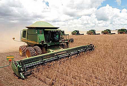 Safra de verão pode ajudar a conter alta dos preços dos alimentos