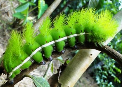 Vilmar Horlandi compara sua vida a um caso de amor à natureza | ND Mais