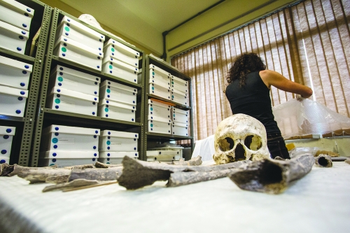 Falta de discussão sobre o futuro do MArquE é motivo de controvérsia na ...