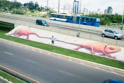 O artista plástico Rodrigo Rizo é o autor das pinturas dos camaleões ...