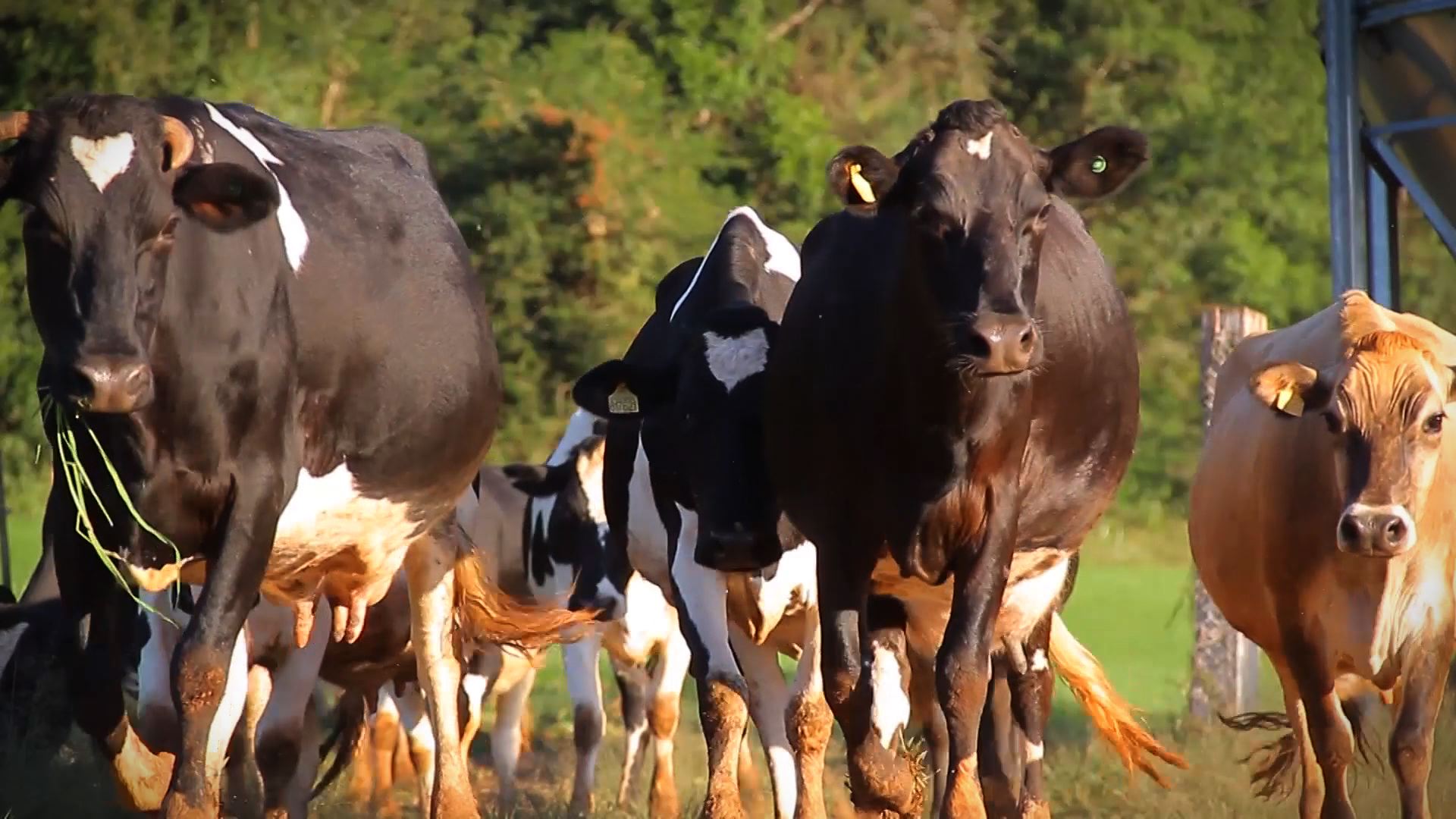 Projeto de comunicação do Grupo RIC destaca a excelência de Santa ...
