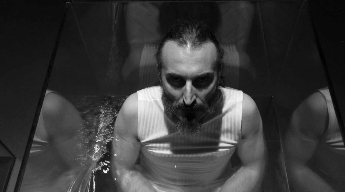 Franzoi expõe em Florianópolis com instalações e performances | ND Mais