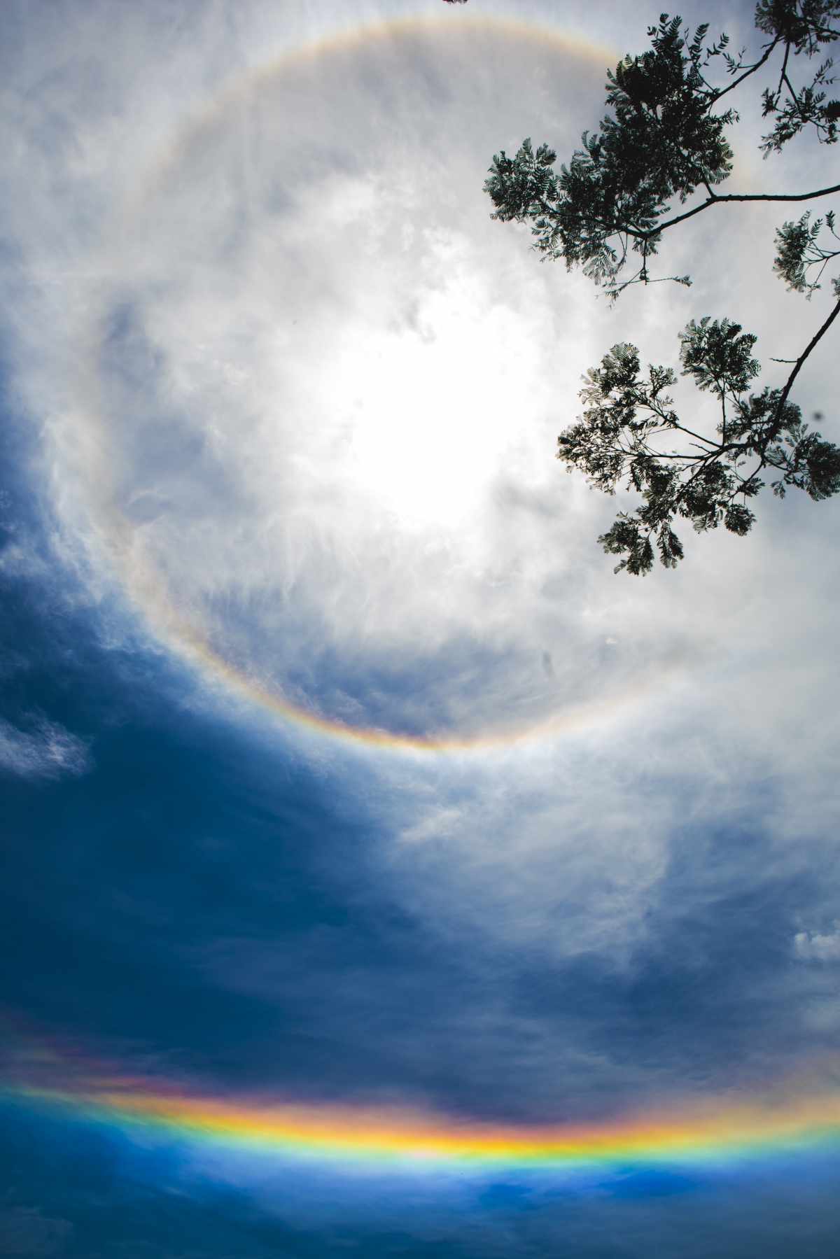 Fotos De Arco Iris No Ceu - FDPLEARN