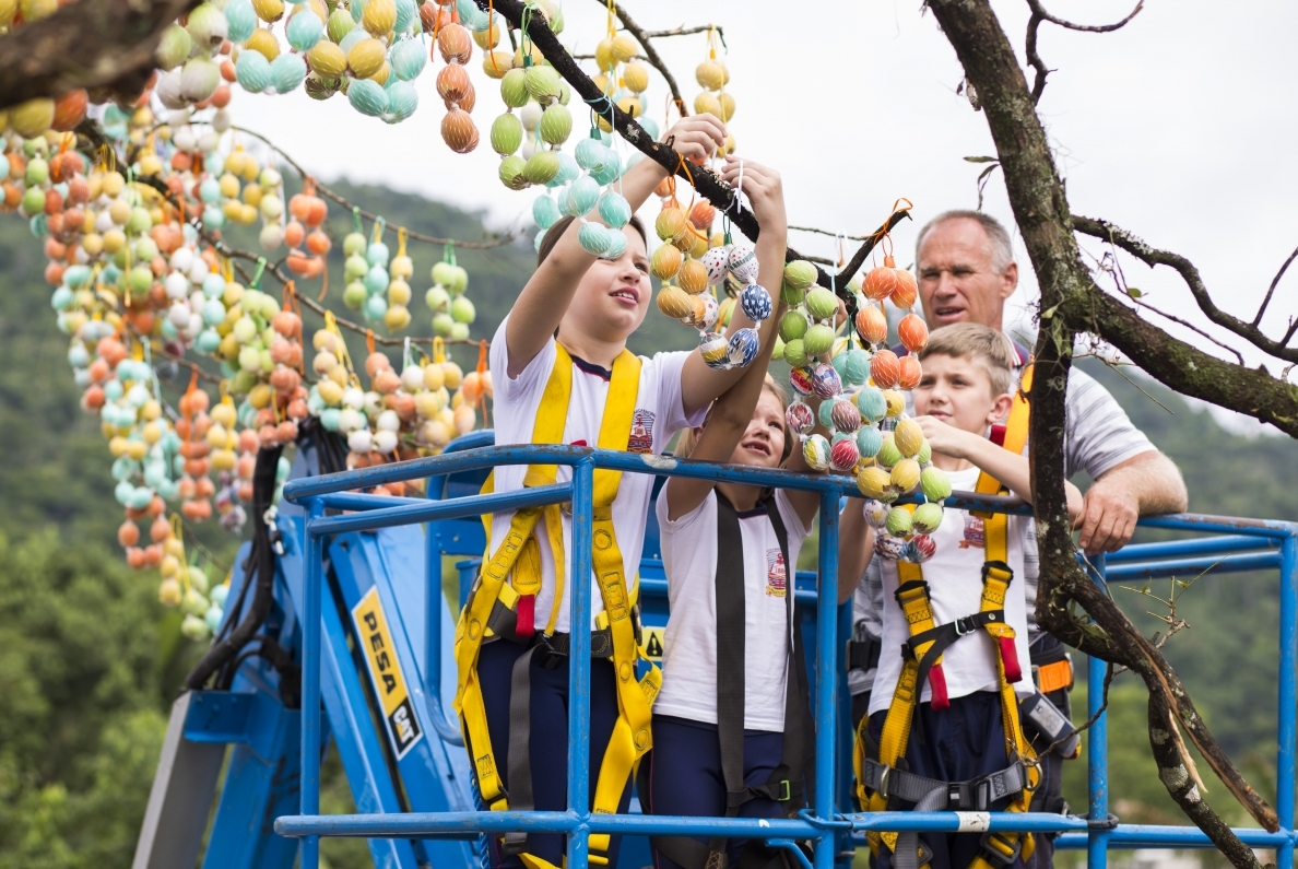 Pomerode termina montagem da maior Osterbaum do mundo | ND Mais