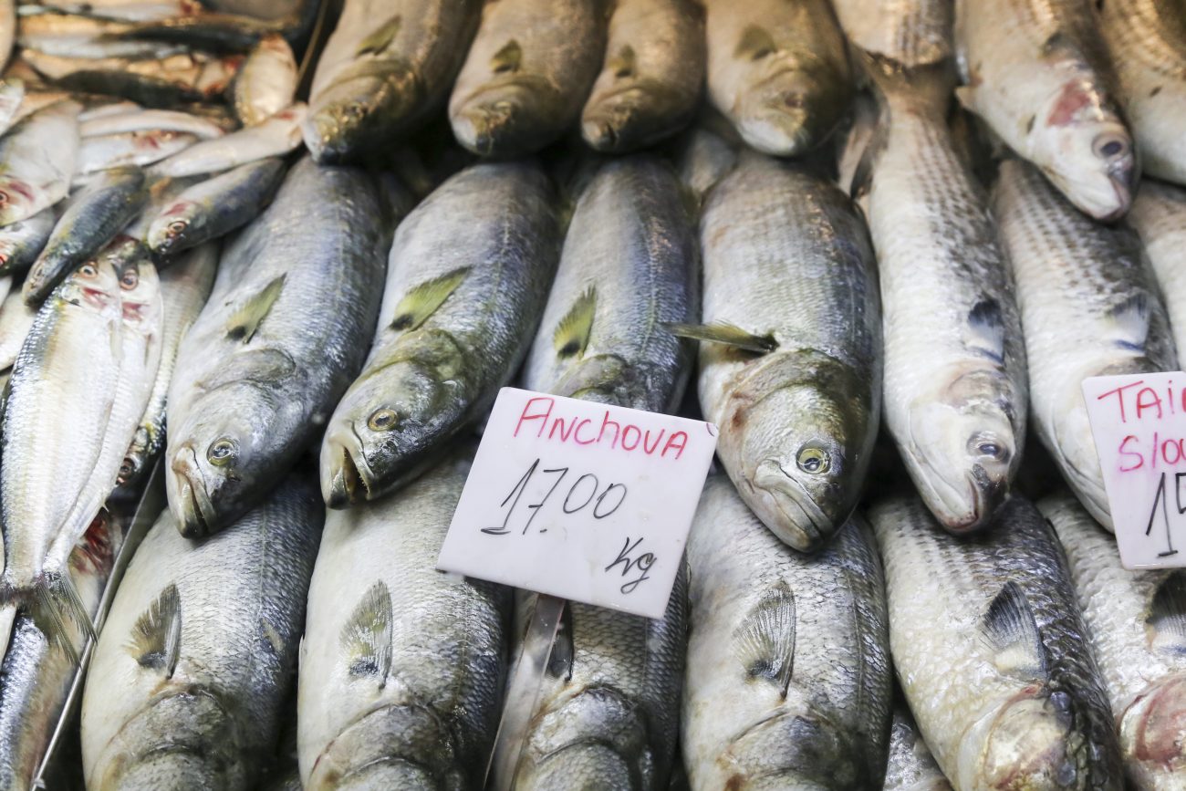 Saiba quais são os peixes mais procurados para a Semana Santa em ...