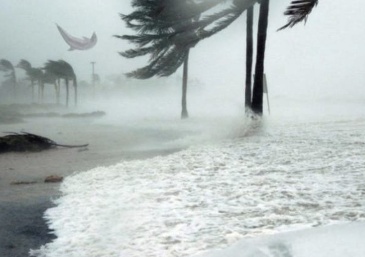 Há chance de furacão em Santa Catarina? Especialista no fenômeno explica