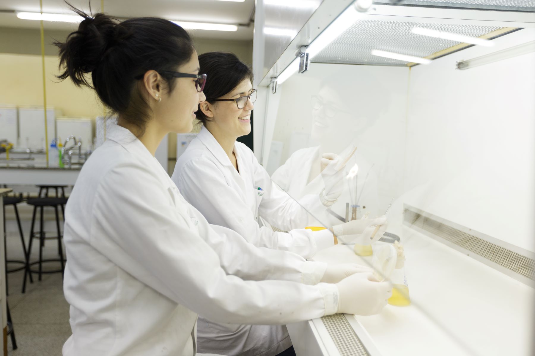 Profissão e carreira: qual a diferença?