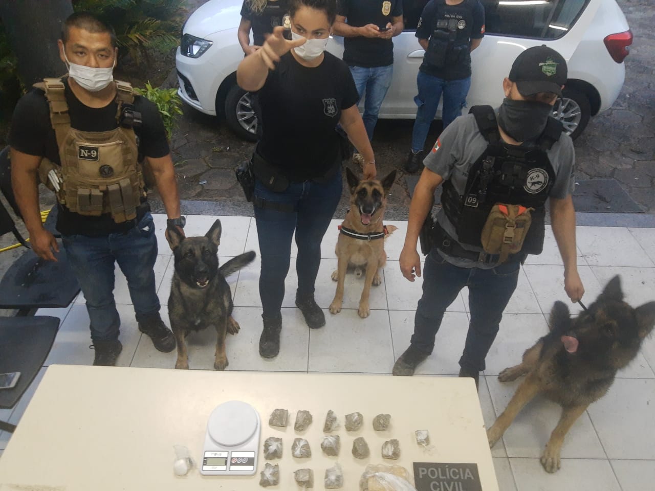 Com A Ajuda Da Cães Farejadores Polícia Civil Apreende Drogas Em
