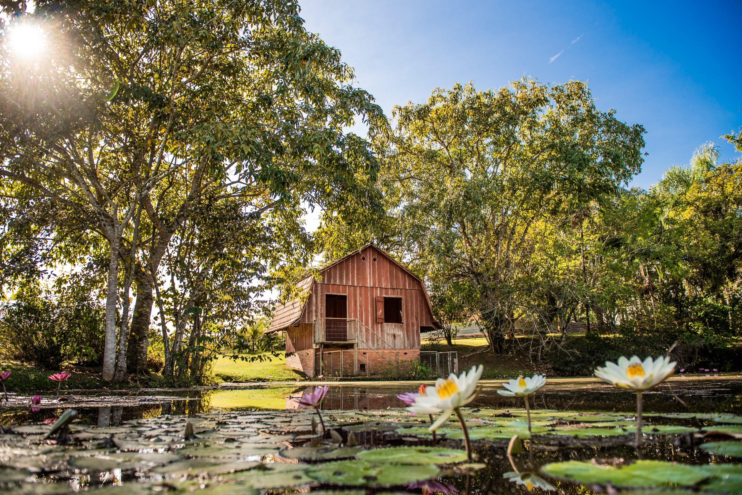 O que fazer em Timbó?