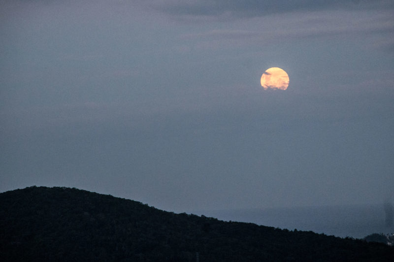 FOTOS: Confira a aparição da Superlua Rosa, em Florianópolis