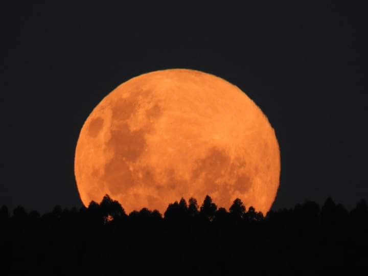 FOTOS: Veja como foi a aparição da Superlua Rosa no Oeste de SC