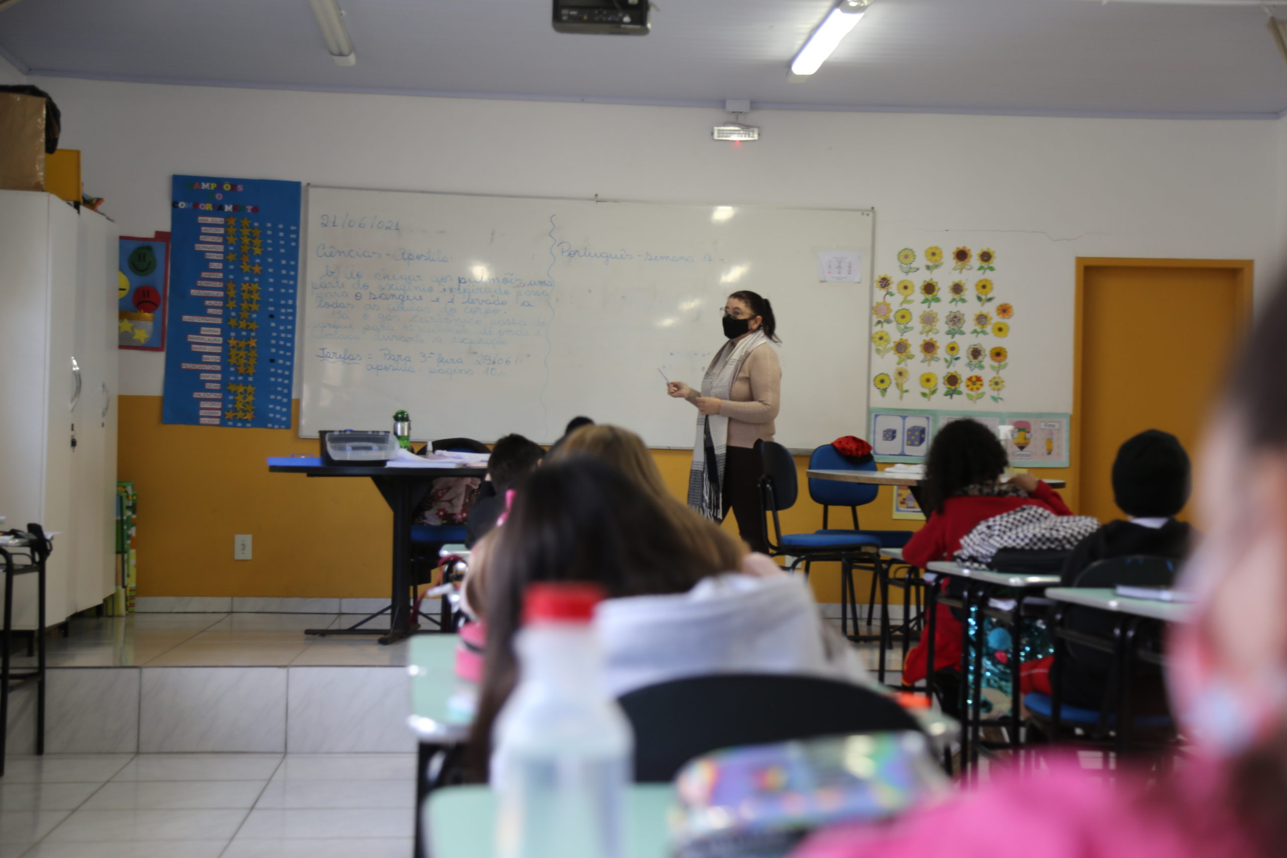 Santa Catarina Terá 100 Dos Alunos Em Aulas Presenciais Em 2022