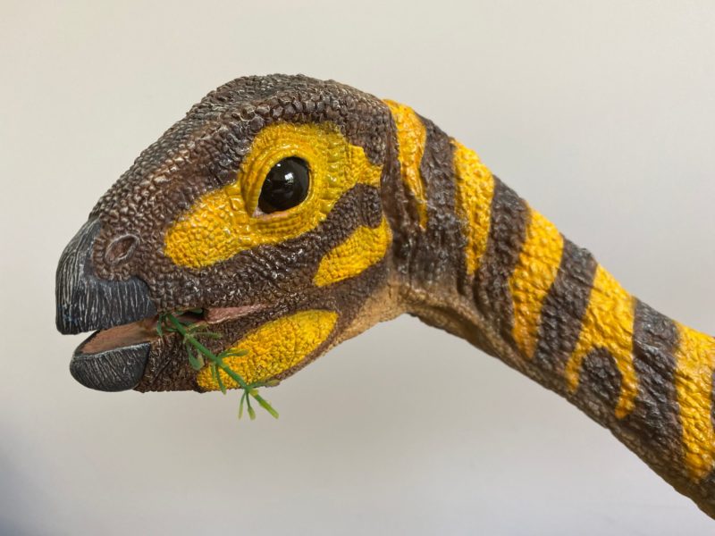 FOTOS: Dinossauro raro sem dentes é descoberto com ajuda de cientistas ...