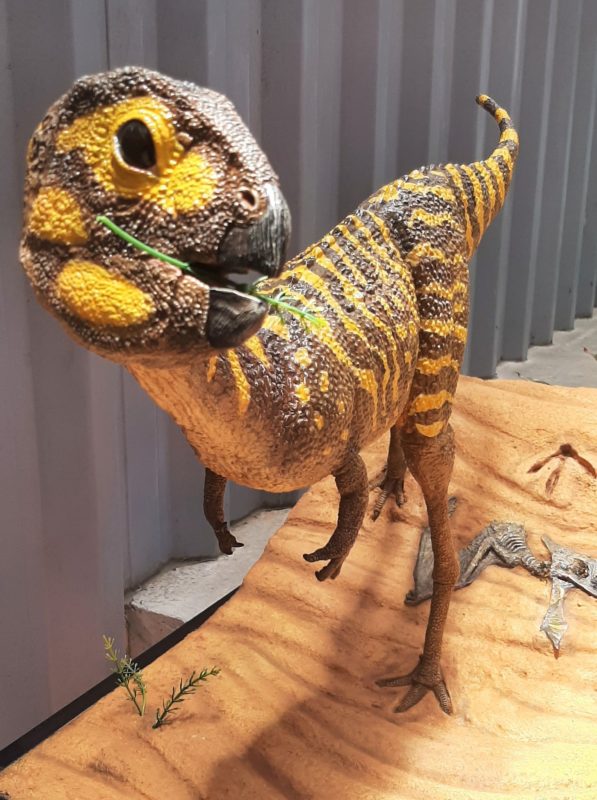 FOTOS: Dinossauro raro sem dentes é descoberto com ajuda de cientistas ...