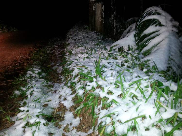 FOTOS: Neve em Blumenau? Relembre a última vez que nevou na cidade e ...