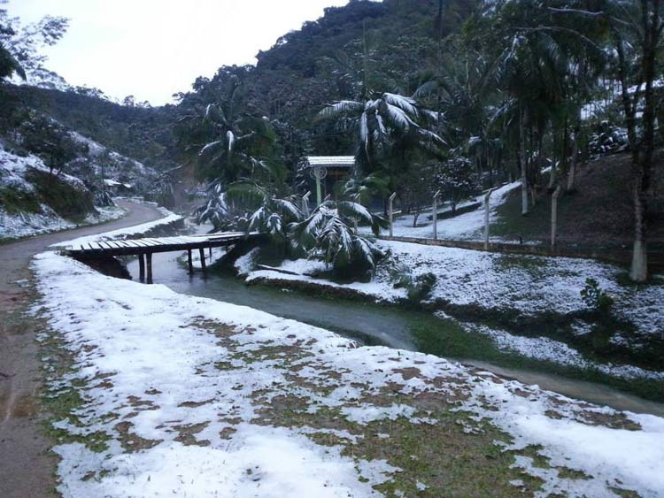 FOTOS: Neve em Blumenau? Relembre a última vez que nevou na cidade e ...