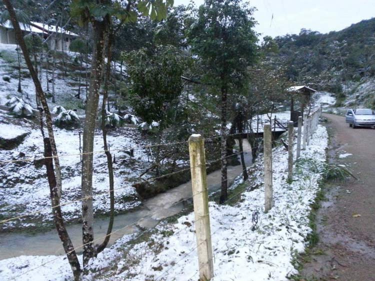 O frio ficou na memória: relembre o dia em que Blumenau amanheceu com neve