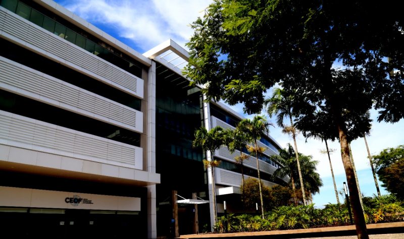 Sustentabilidade: descubra quais são as ações do Square SC para cuidar ...