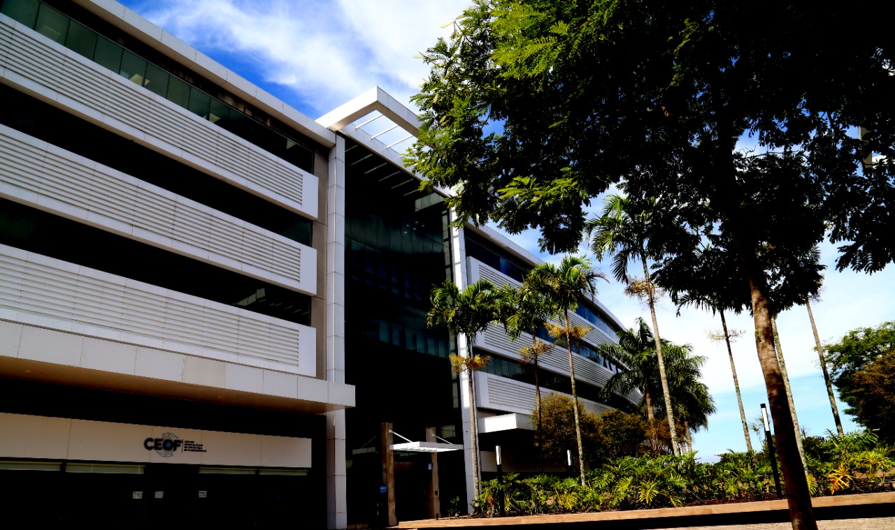 Sustentabilidade: descubra quais são as ações do Square SC para cuidar ...