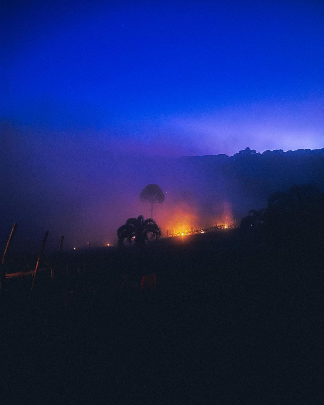 Produtores de uva em SC salvam vinhedo do frio com técnica milenar