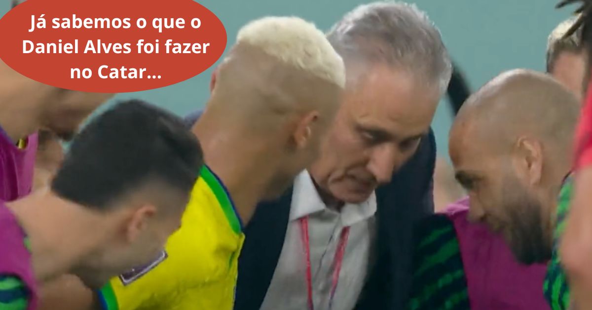 Memes Pombo Pombos #pombo #pomba #comendo #ração #gatos #cats #cat