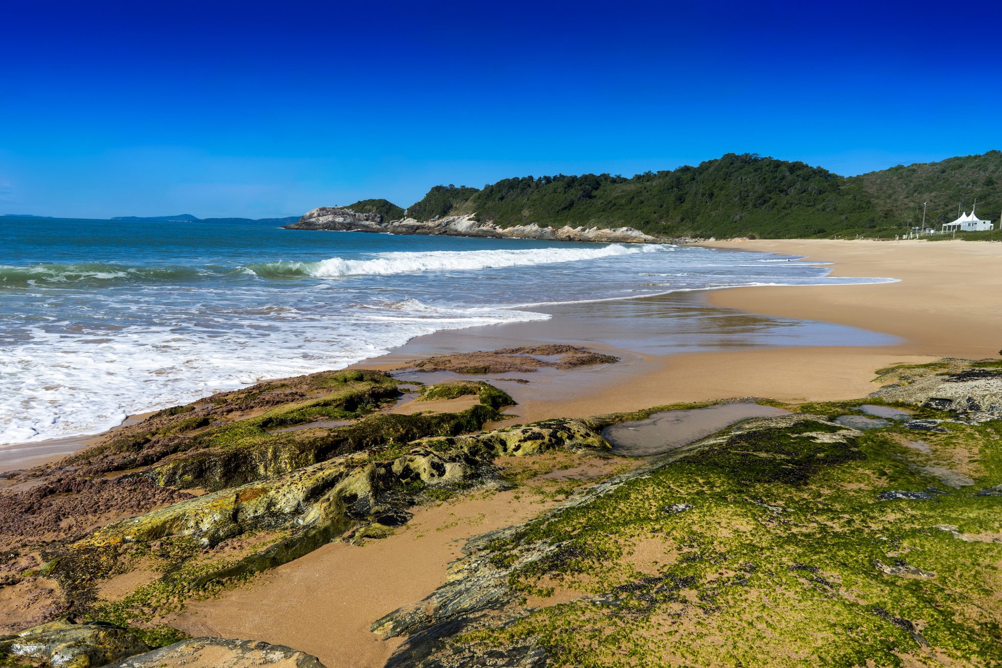 Interpraias: a rodovia mais bonita das praias de Balneário Camboriú