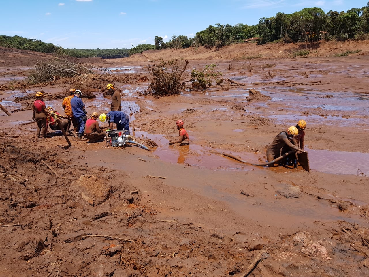 Quatro anos de Brumadinho: relembre a tragédia em MG e como equipes de ...