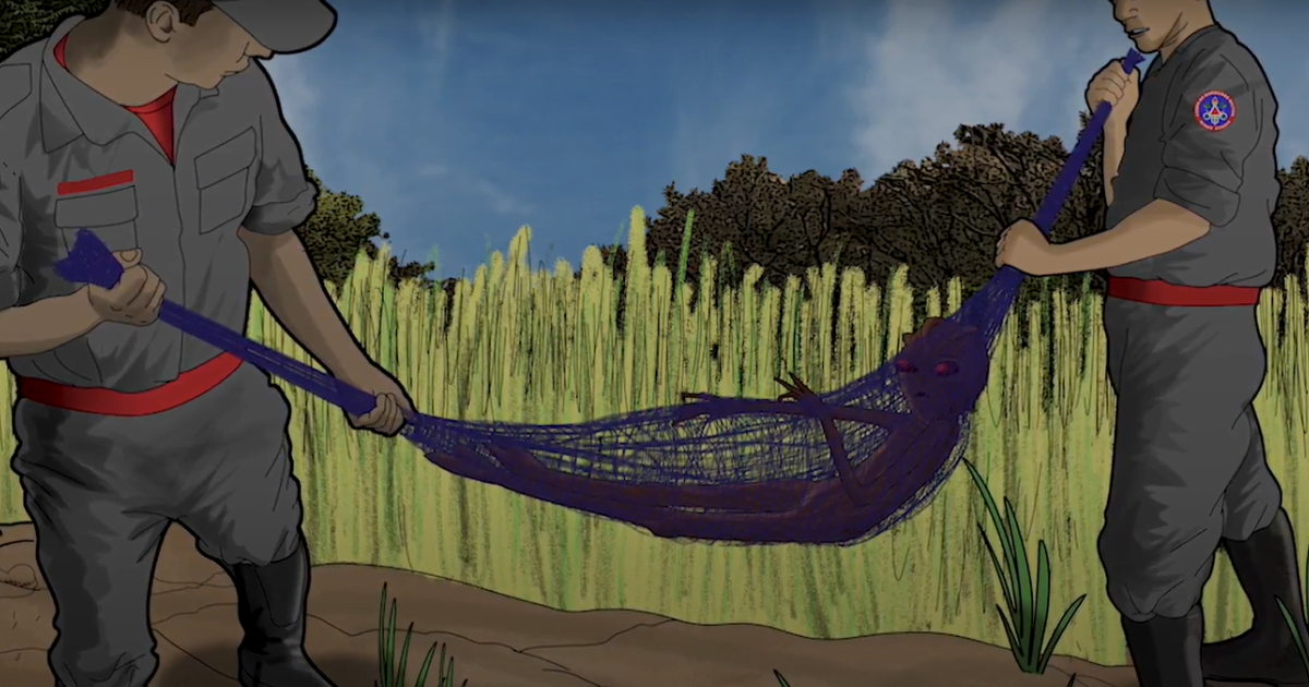 Veja ilustrado o caso mais famoso da ufologia mundial: ET de varginha ...