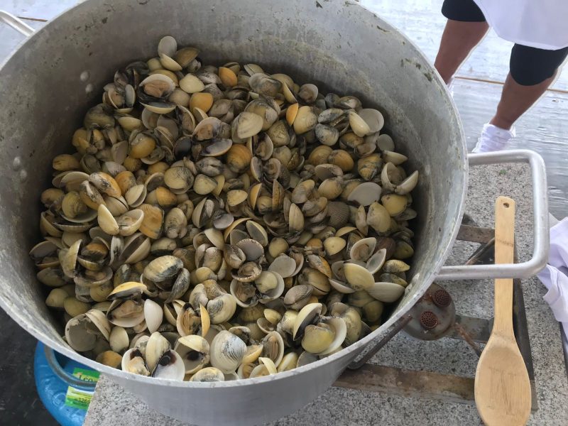 Festival do Berbigão do Boca elege vencedor com prato que homenageia Dacica