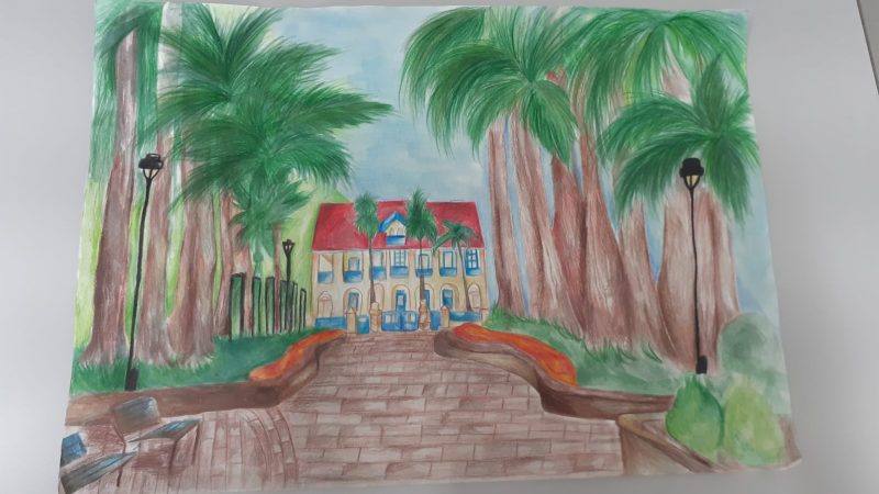 Vote E Escolha Os Campeões Do Concurso De Desenho Da Ndtv Joinville