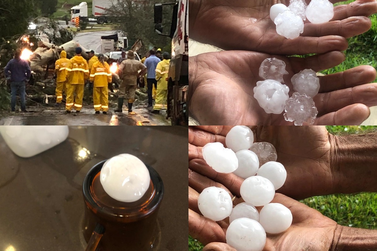 Temporal derruba árvore e deixa paisagens brancas com granizo em ...