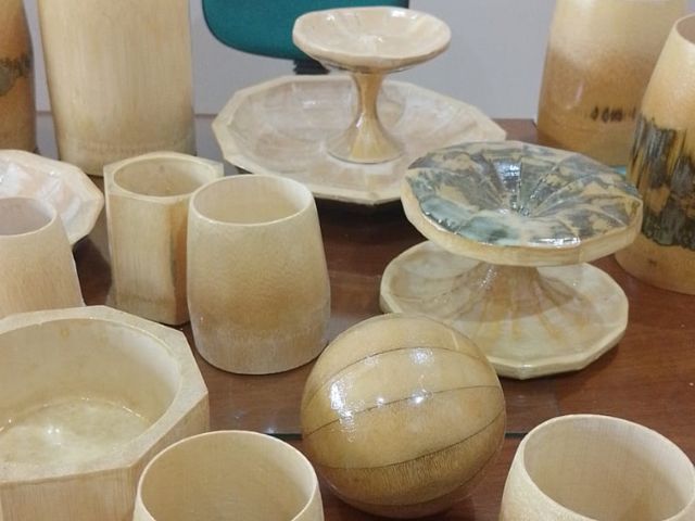 Bambu em SC: Epagri promove cursos para utilização da planta na ...