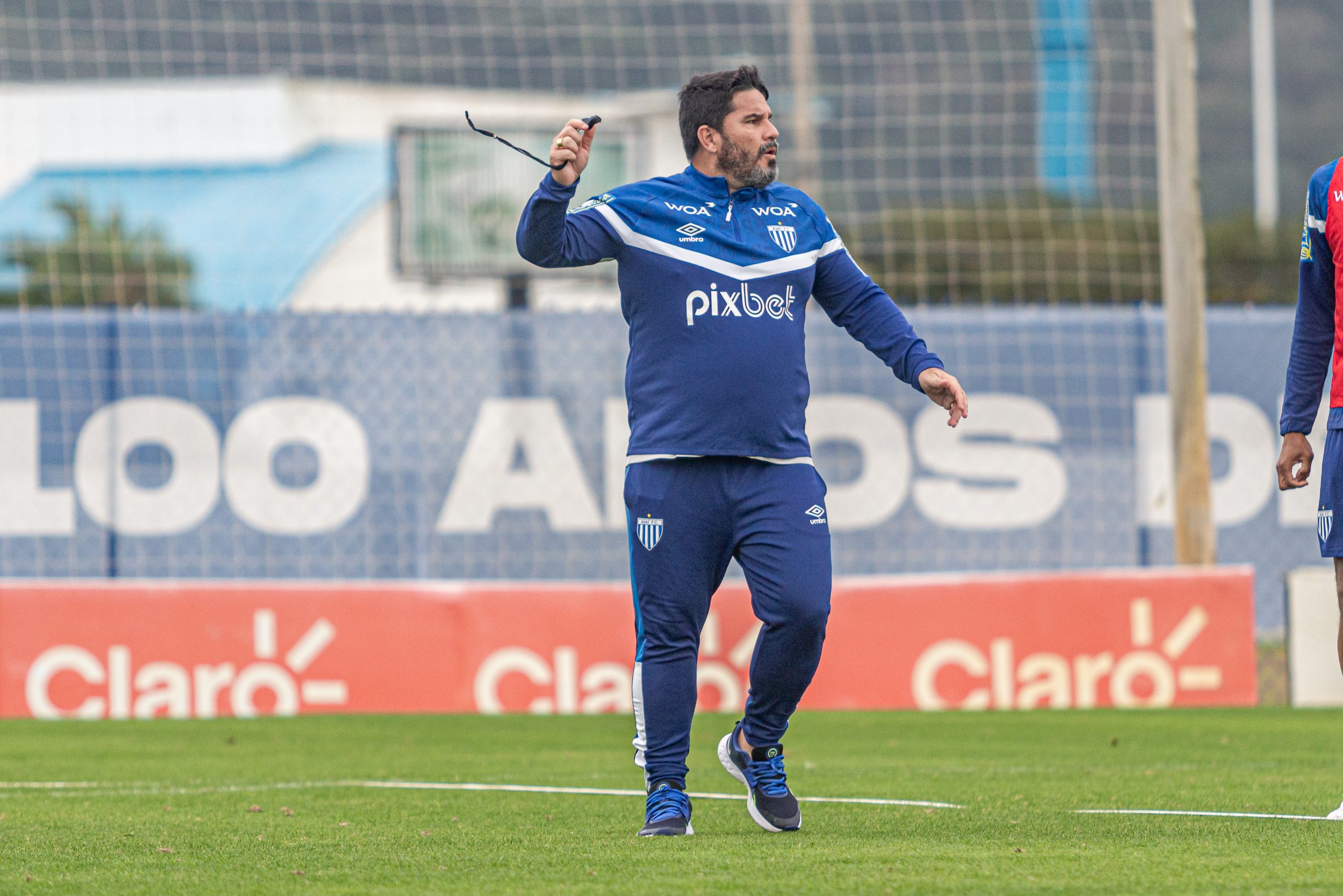 Mister Barroca Que Professor - BRAINCP