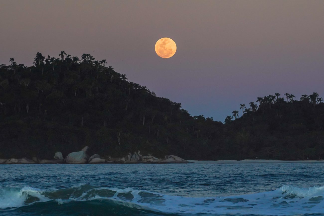 Superlua azul ilumina o céu de Florianópolis; veja registros incríveis ...
