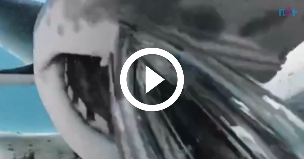 Registro raro: tubarão come câmera subaquática e revela detalhes do ...