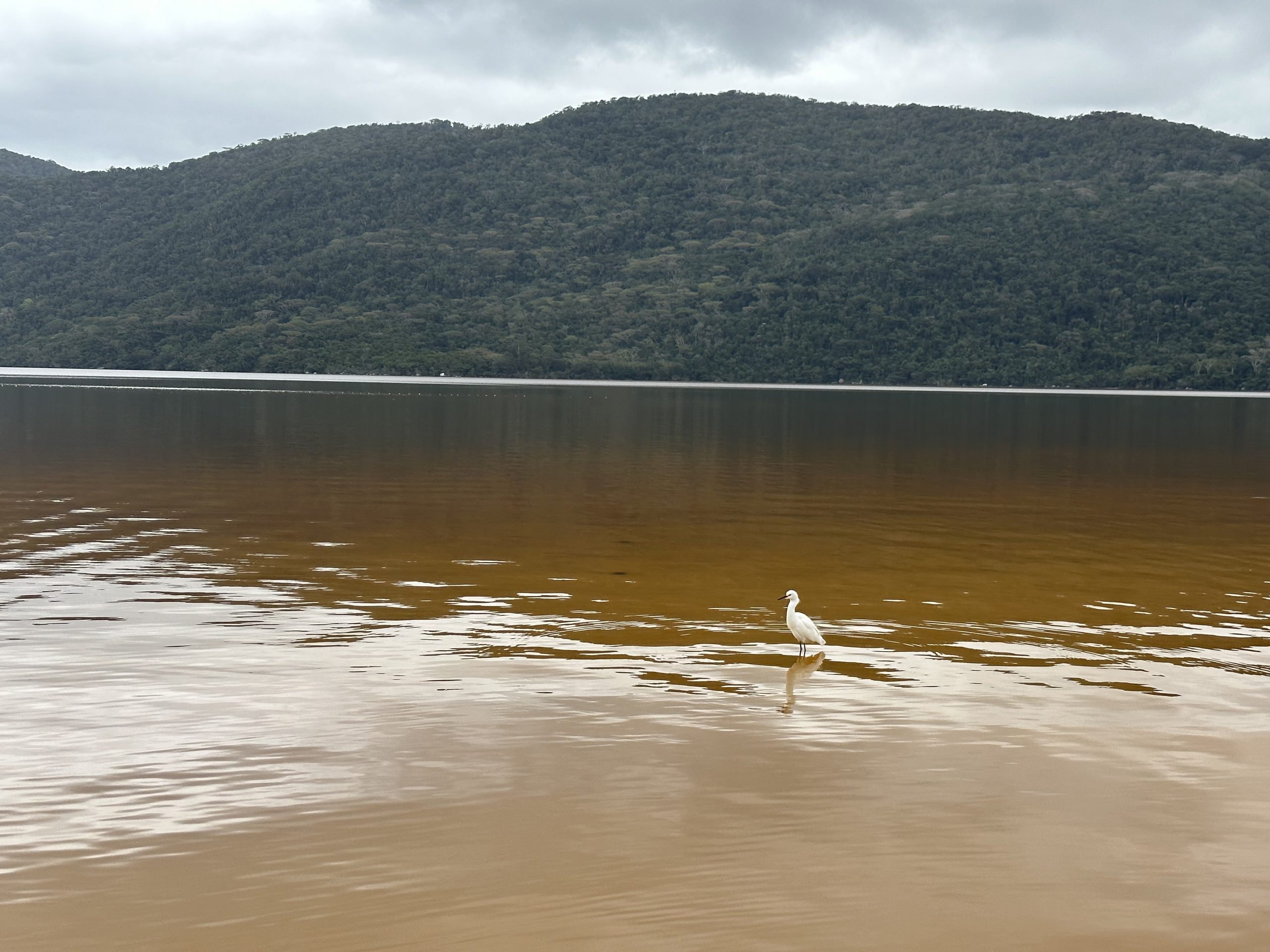 Cor avermelhada da Lagoa do Peri ainda é mistério, mas água é própria ...
