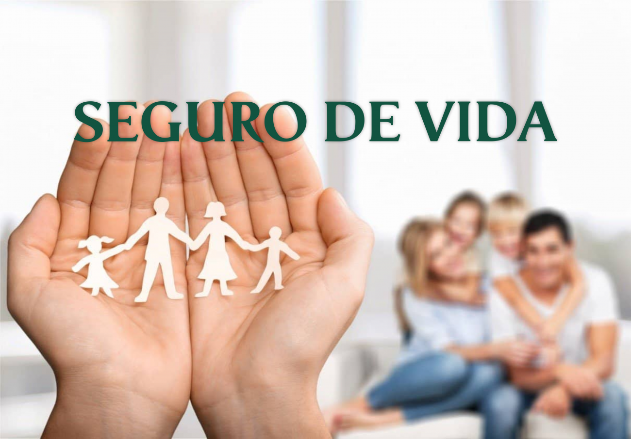 Vale a pena contratar seguro de vida?