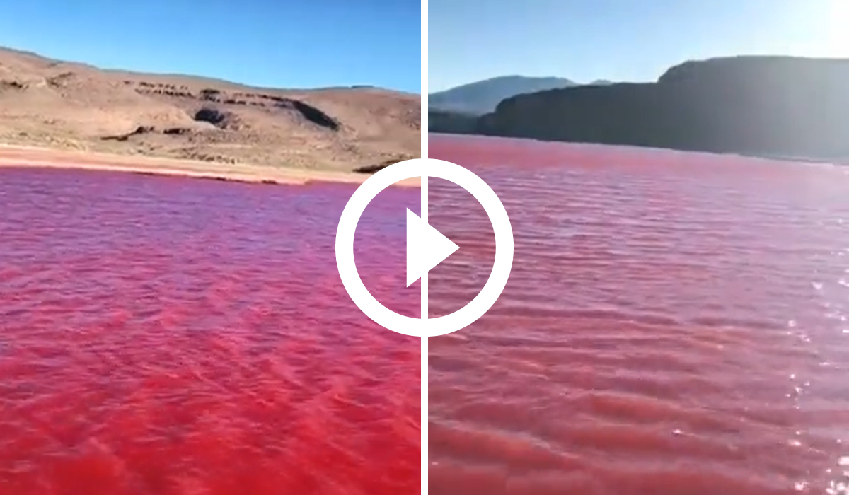 Pragas do Egito? Internautas se assustam com água vermelha do Rio Nilo