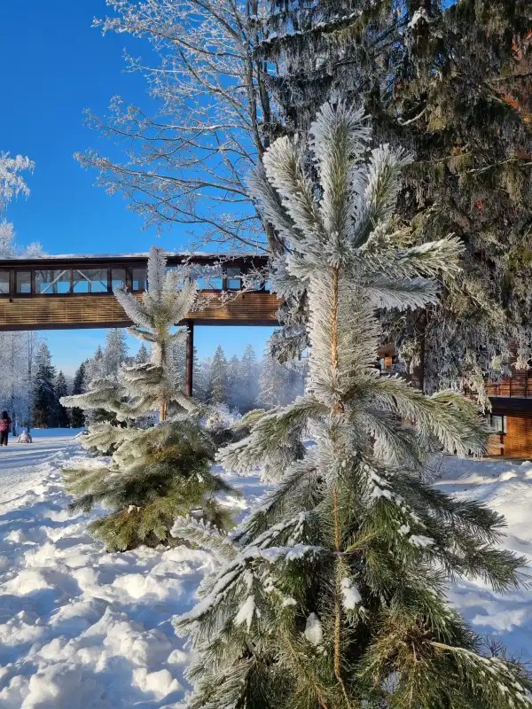 Veja imagens inéditas das Cataratas do Iguaçu