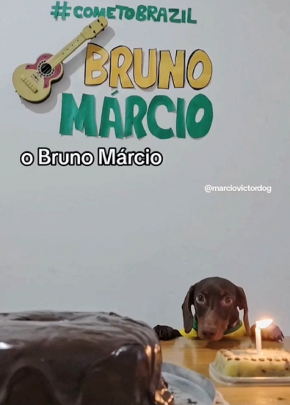 Salsicha tem festas de aniversário de parar a internet