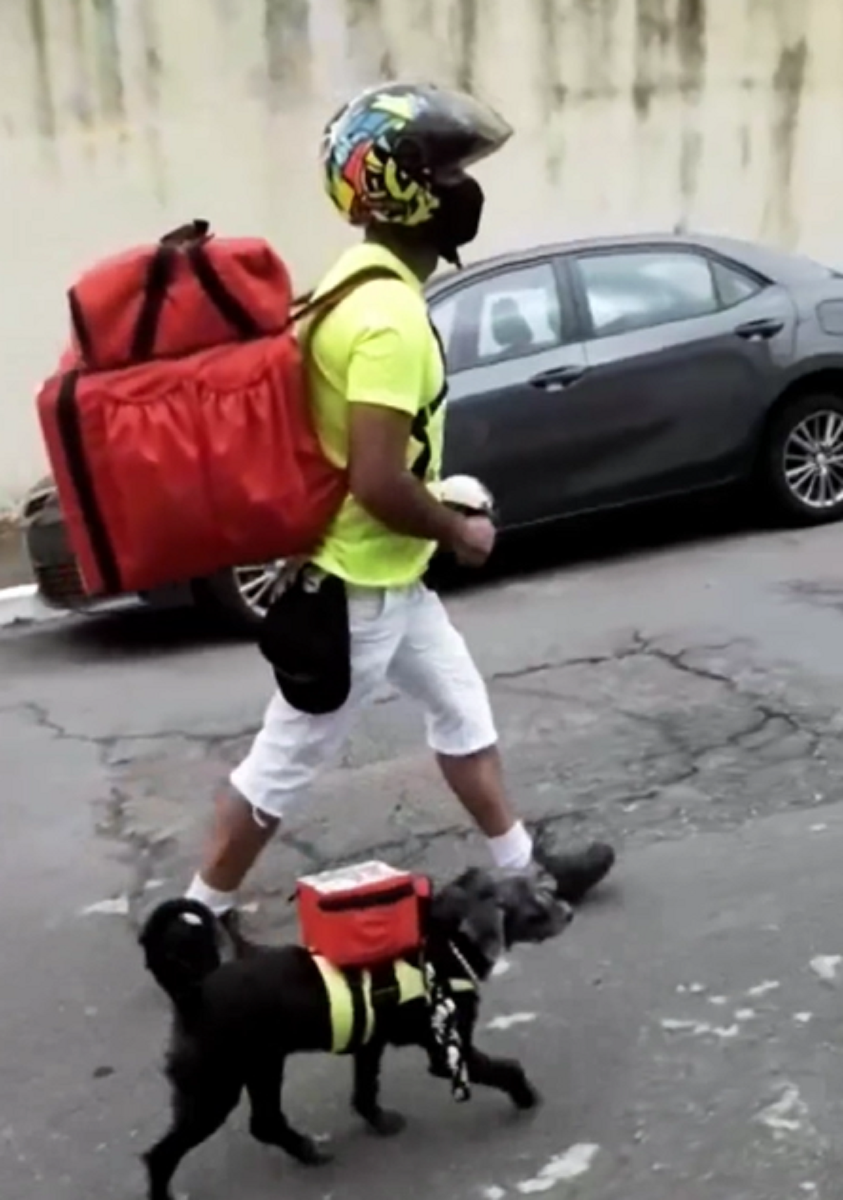 Conheça a história da cachorra que virou 'motodog' em SP