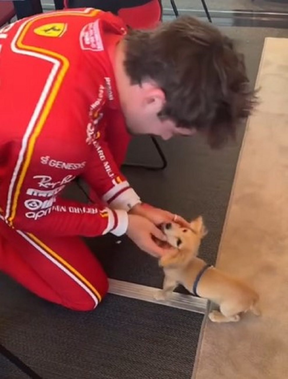 Charles Leclerc celebra desemprenho em treinos com cachorro