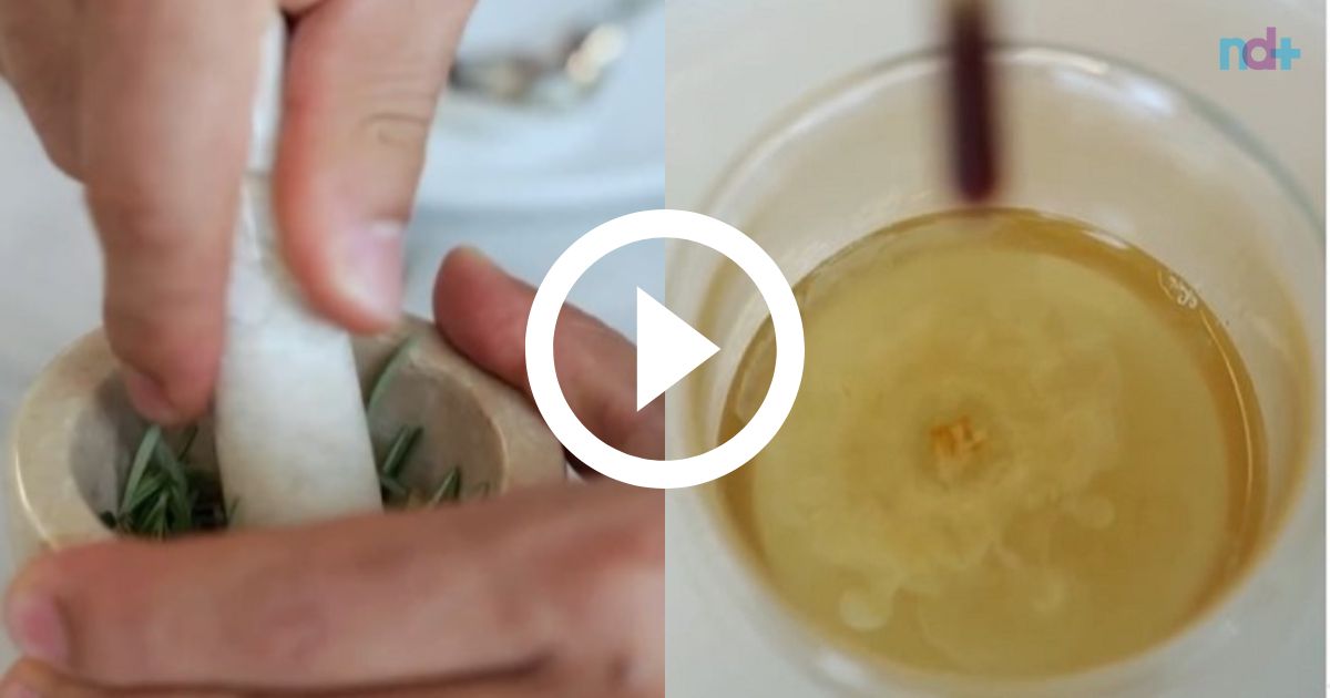 Nutricionista ensina shot 'santo' que expulsa gases