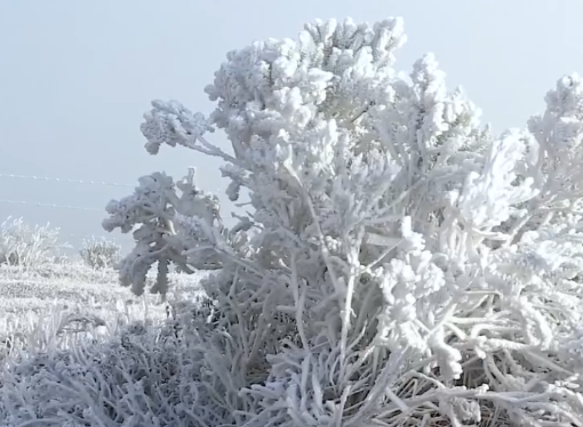 Sincelo: o que é o fenômeno previsto para Santa Catarina