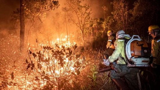 Queimadas no Brasil aumentam 79% e atingem maior área em 5 anos