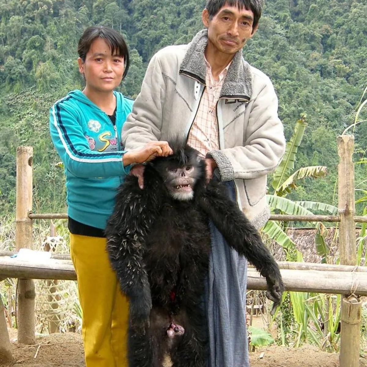 Veja os 16 animais mais raros do mundo; FOTOS