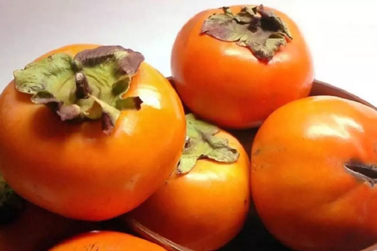 As melhores frutas do Outono: saiba quais as frutas da estação e dicas ...