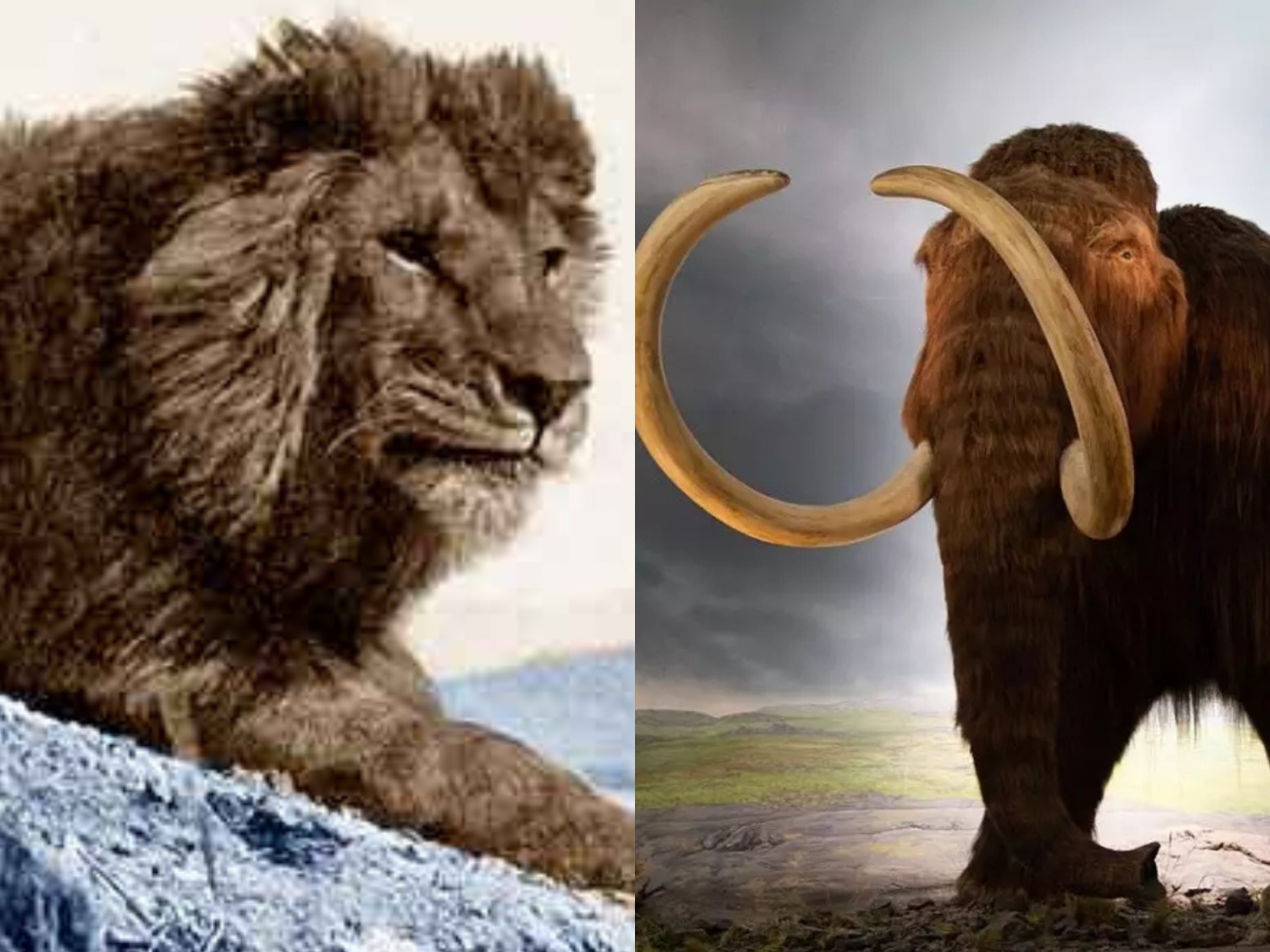 Animais extintos: 6 espécies que já viveram com os humanos