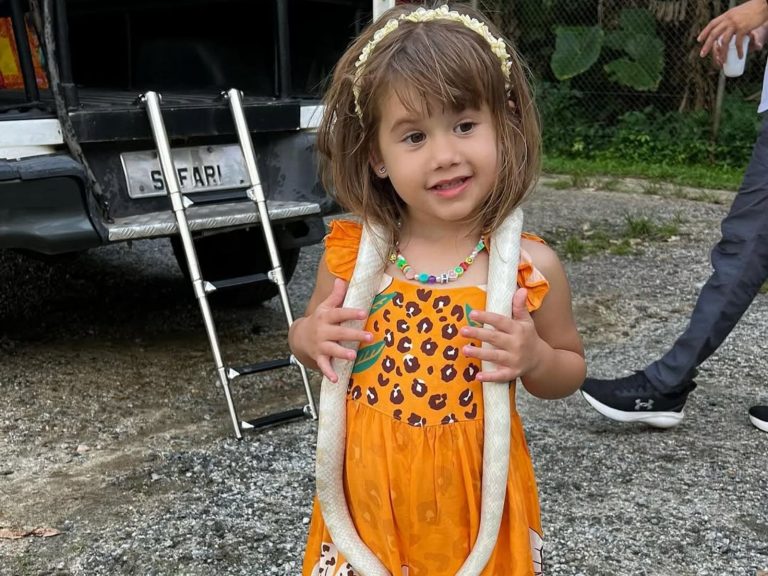 Maria Alice impressiona Virginia ao brincar com cobra