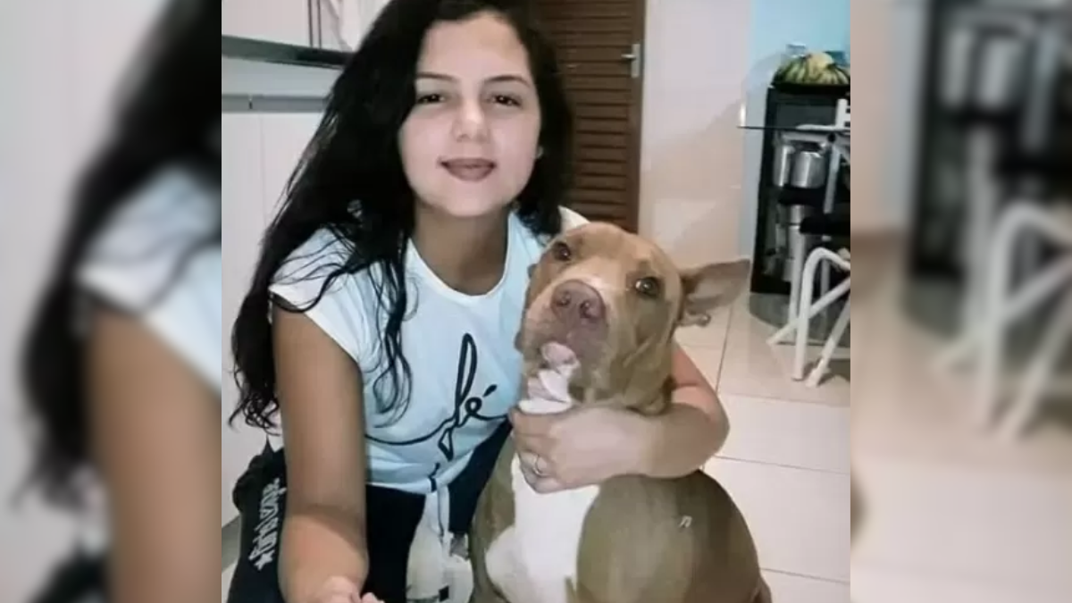 O que se sabe sobre o pitbull que matou a tutora em Goiás